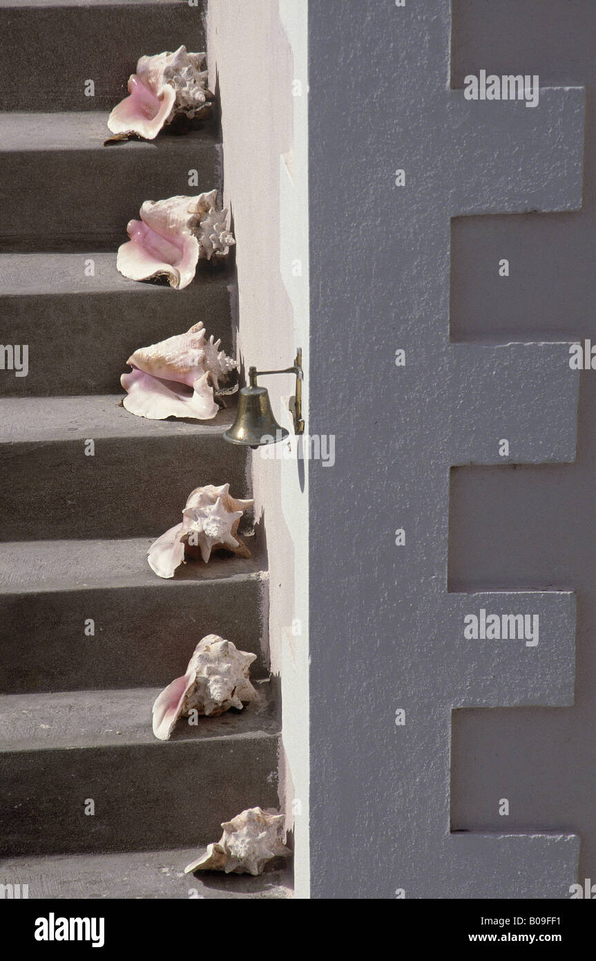 Pink and white Conch Shells decorating steps stairs Small brass bell on ...