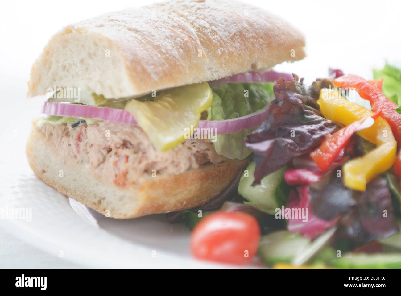 A deliciously prepared sandwich Stock Photo - Alamy