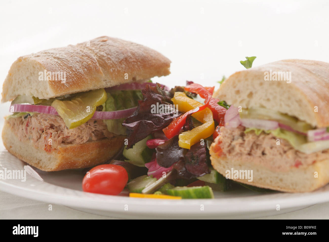 A deliciously prepared sandwich Stock Photo - Alamy