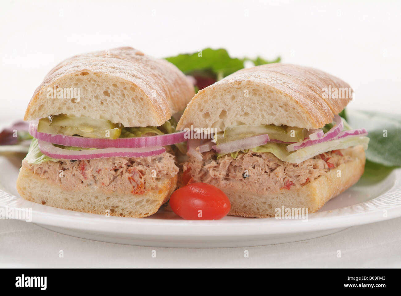 A deliciously prepared sandwich Stock Photo - Alamy