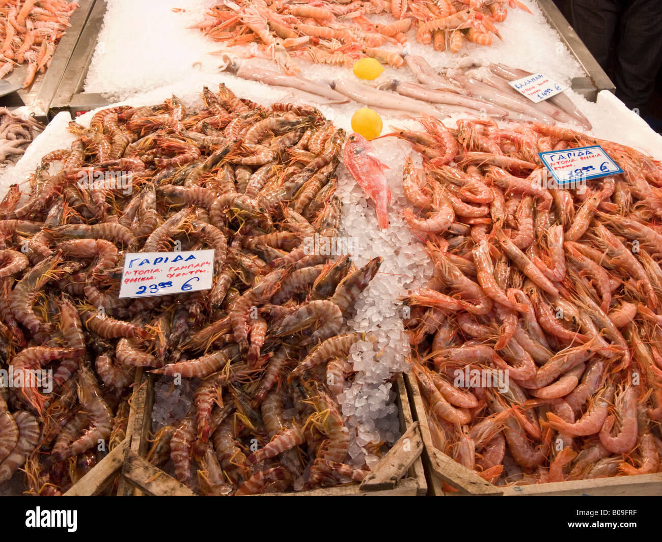 seafood stall, Athens Central Market, Athinas Street, Athens, Greece ...