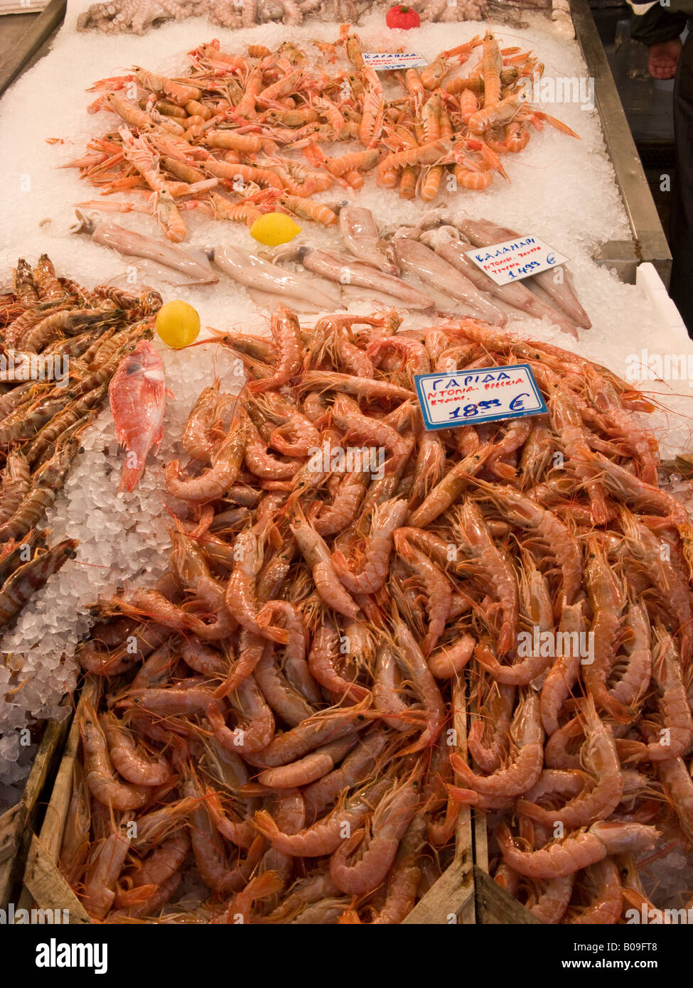 seafood stall, Athens Central Market, Athinas Street, Athens, Greece ...
