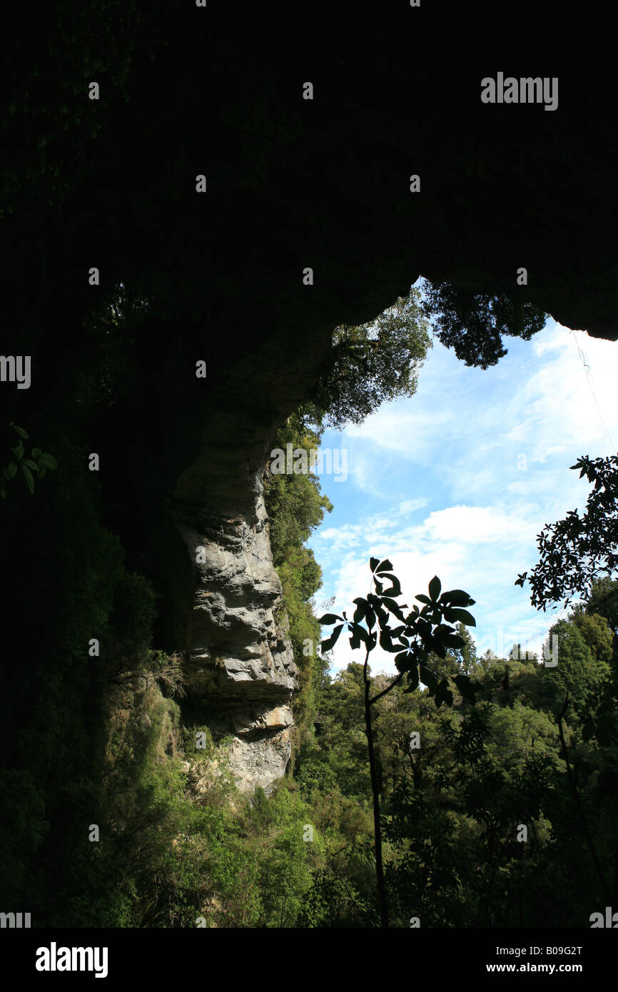 Oparara Arch in Oparara basin Stock Photo - Alamy