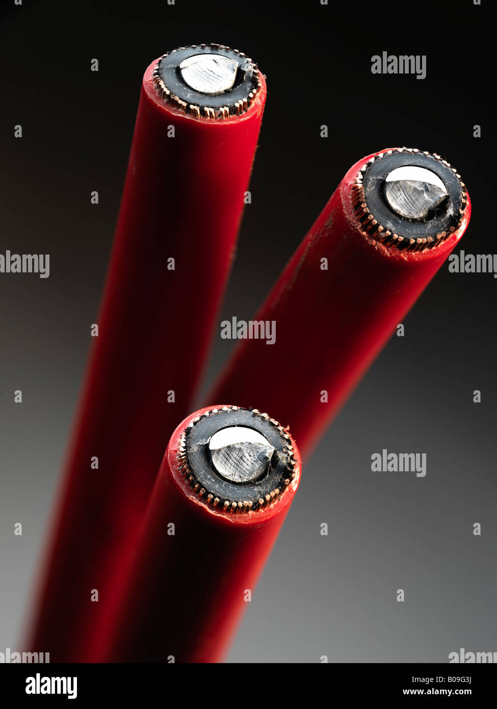 Electricity Cables cut in half showing internals Stock Photo - Alamy