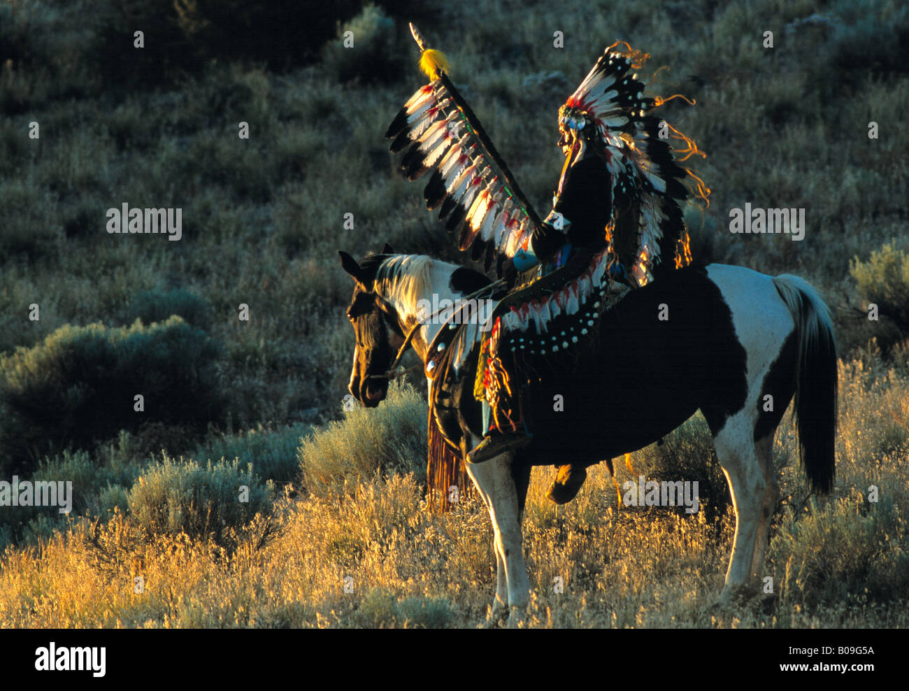 Shoshone indian hi-res stock photography and images - Alamy
