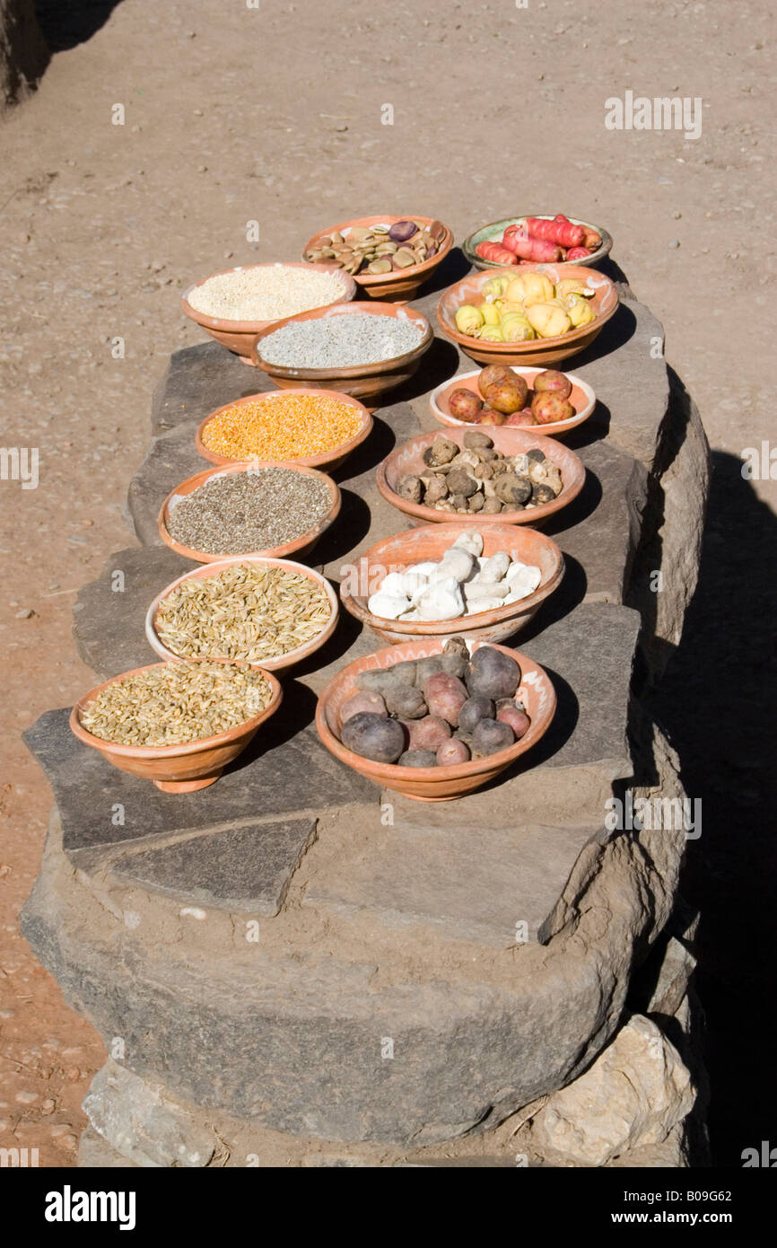 South America - Peru. Assortment of grains and vegetables at local home ...