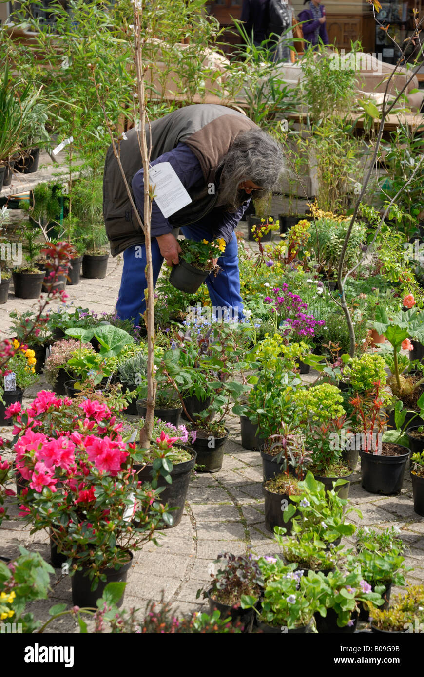 Market devon hi-res stock photography and images - Alamy