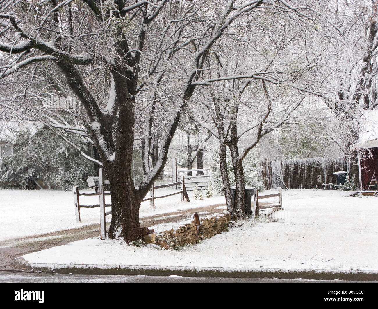 Trees and Winter Scene Stock Photo - Alamy