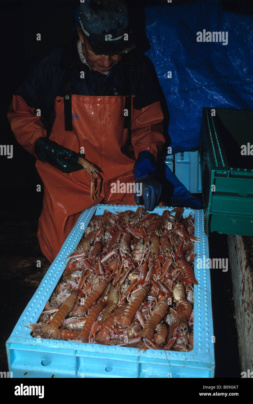 Crayfish harvest hi-res stock photography and images - Alamy