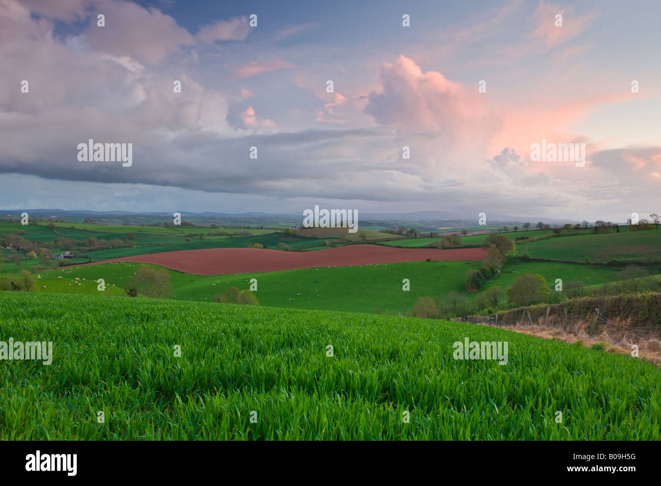 Spectacular and unusual skies above the rolling fields of mid Devon ...