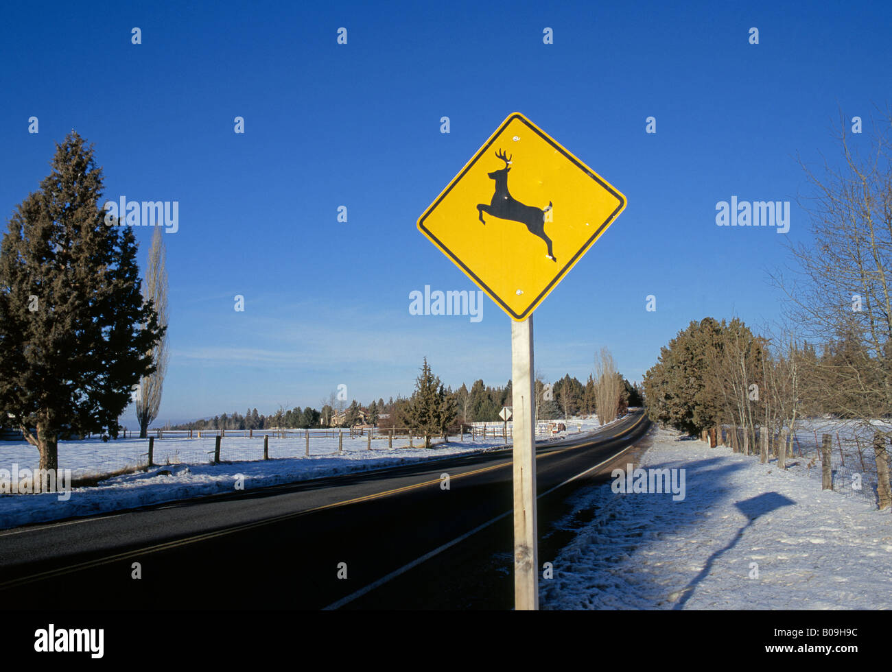 Roadside deer crossing sign hi-res stock photography and images - Alamy