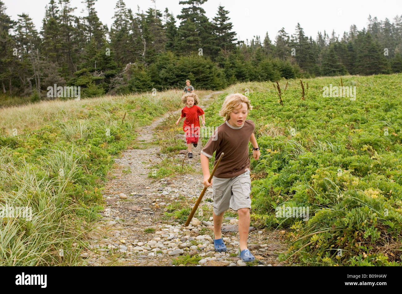 Brothers running through a field Stock Photo - Alamy