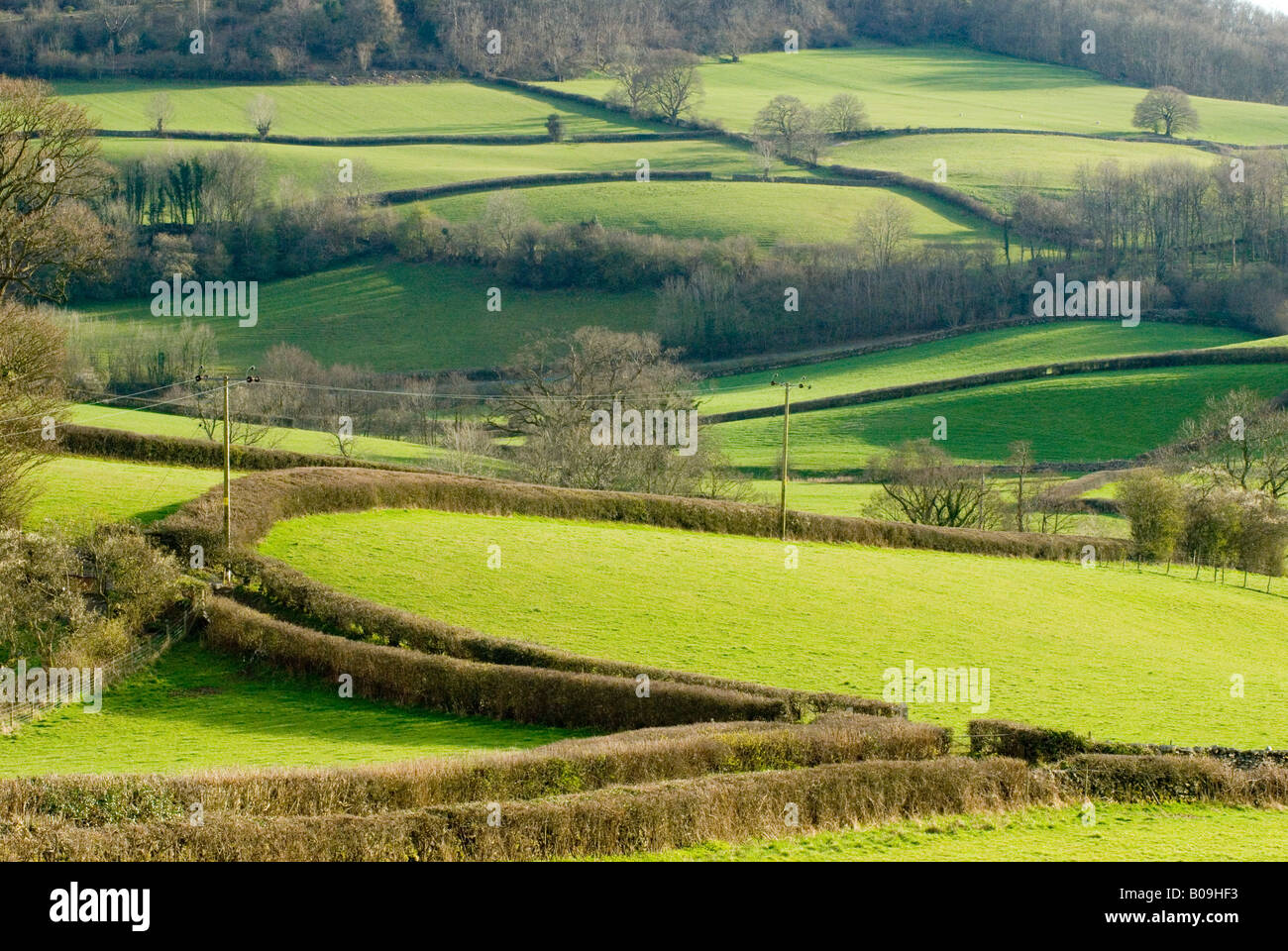 Lythe Stock Photos & Lythe Stock Images - Alamy