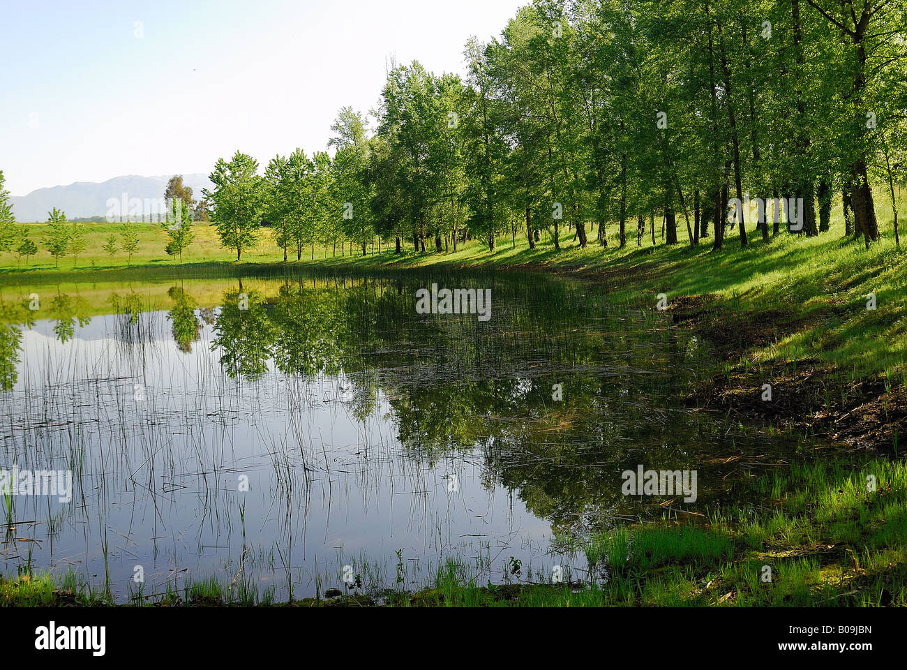 Little lake hi-res stock photography and images - Alamy
