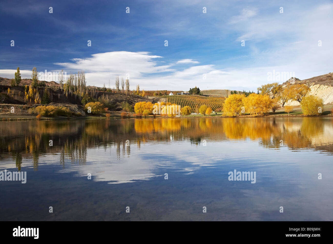 Autumn Colour and Vineyard Bannockburn Inlet Lake Dunstan Central Otago ...