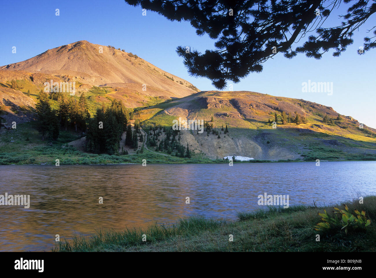 Stanislaus national forest hi-res stock photography and images - Alamy
