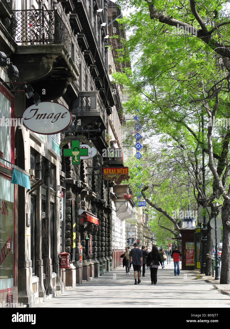 BUDAPEST, HUNGARY. The tree-lined avenue of Andrassy Utca leading to ...