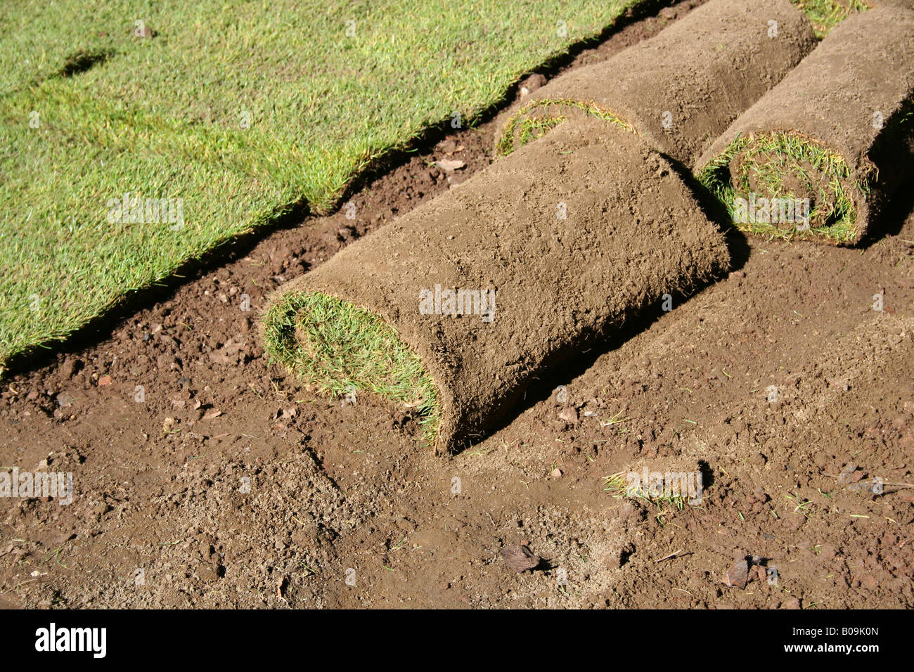 Plot of garden hi-res stock photography and images - Alamy