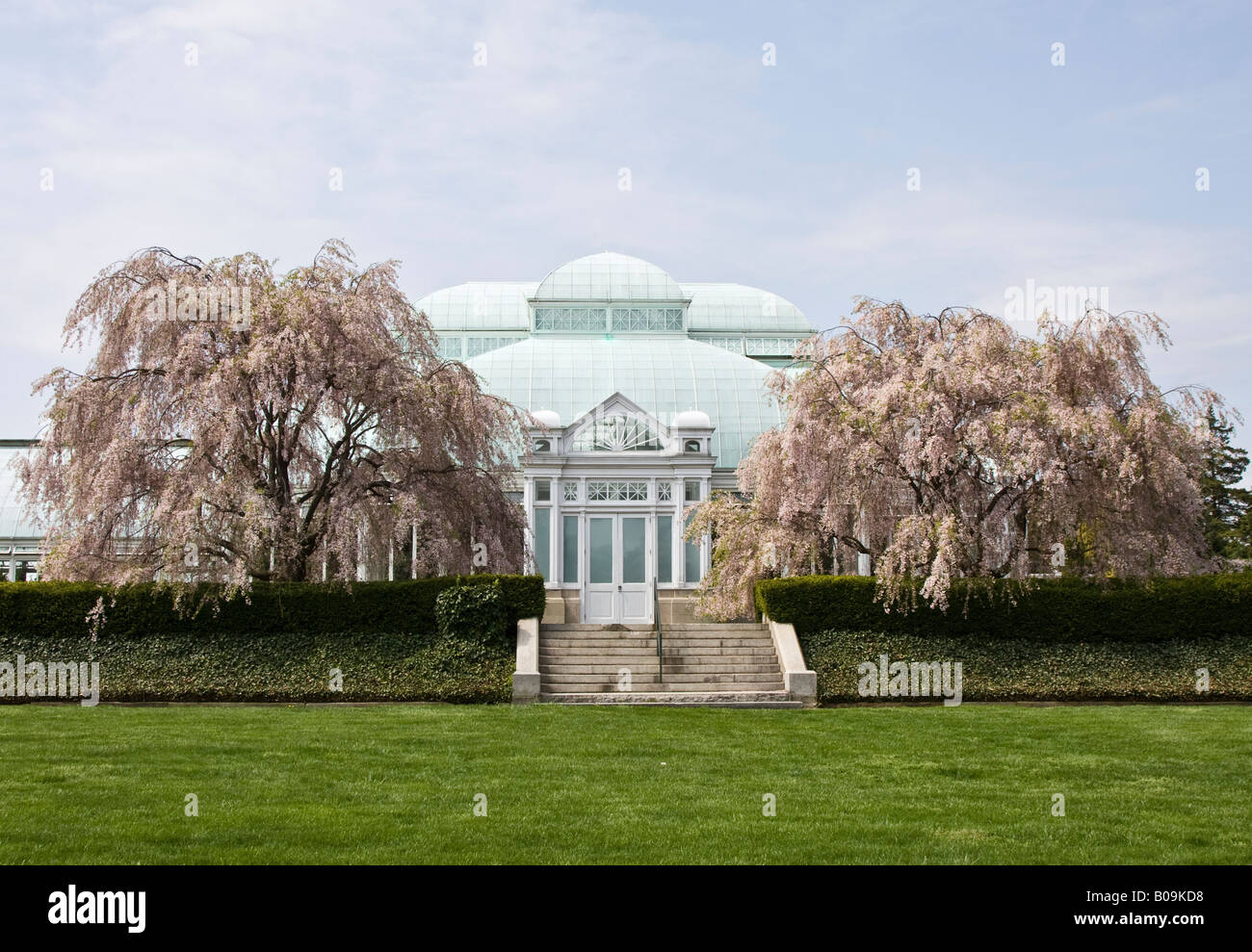 New York Botanical Garden Steinhardt Conservatory building in spring ...