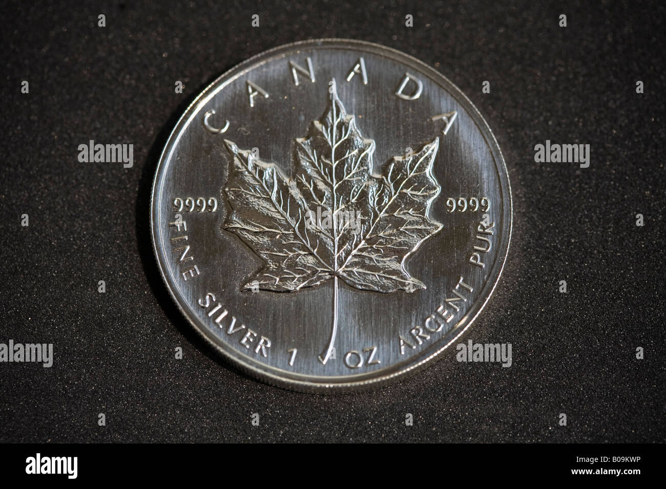 Front of 5 dollar Canadian silver bullion coin Stock Photo - Alamy