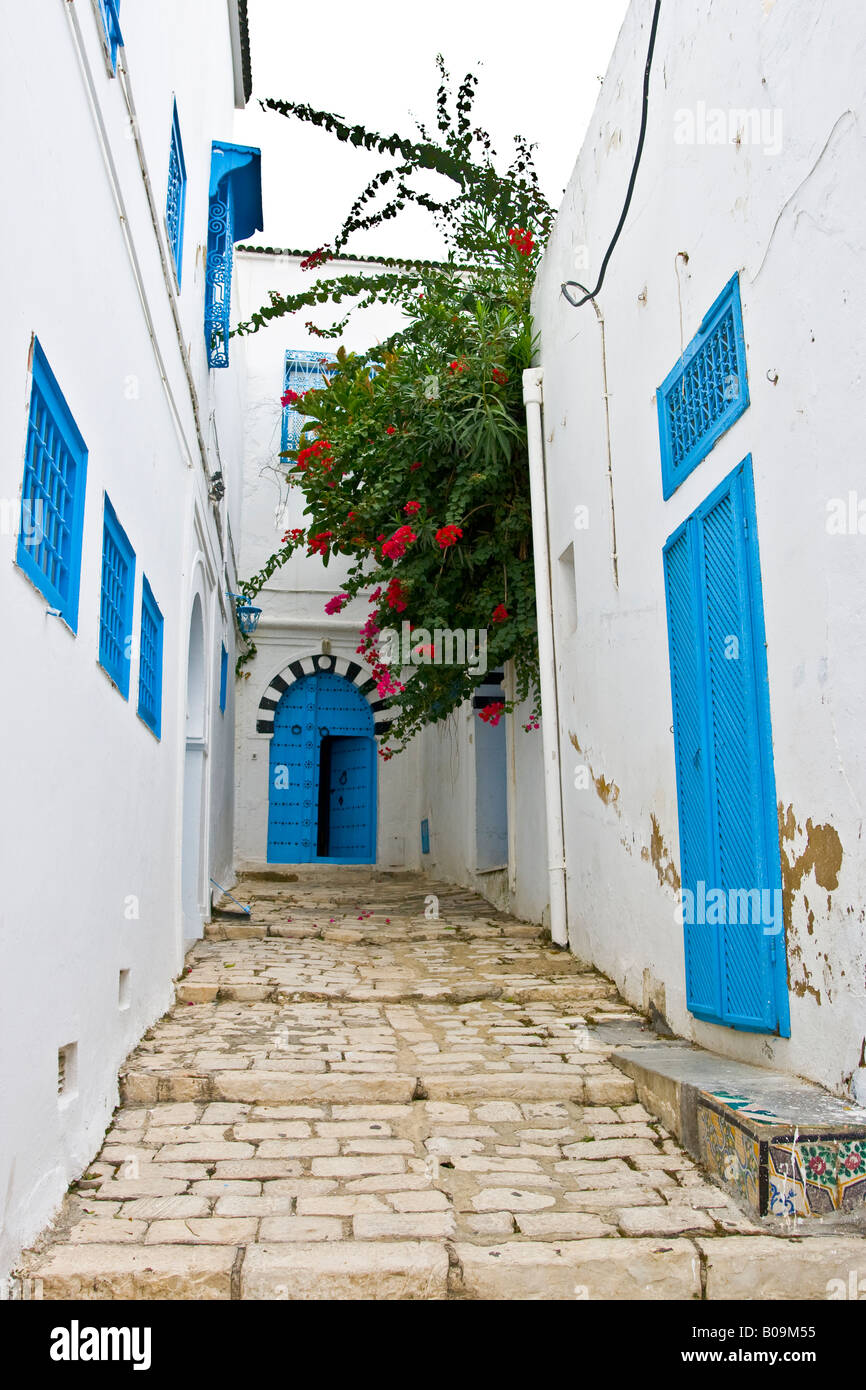 Sidi Bou Said Street Scene Tunisia Stock Photo - Alamy