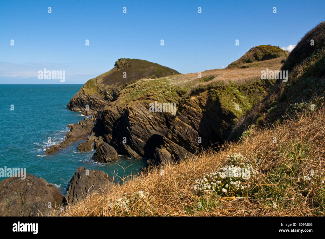Watermouth cove devon england hi-res stock photography and images - Alamy