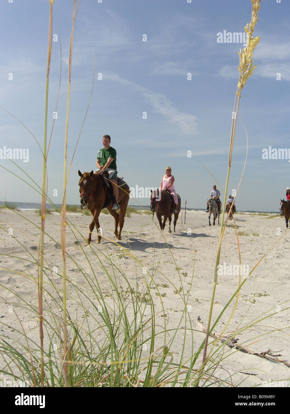 Horseback riding florida hi-res stock photography and images - Alamy