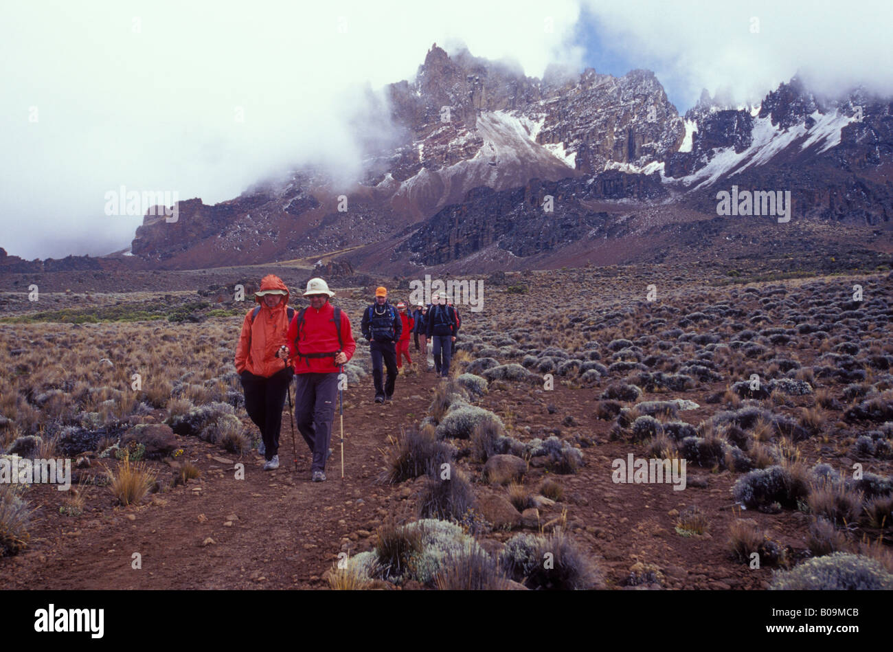 Mount Kilimanjaro, Tanzania, Africa Stock Photo - Alamy