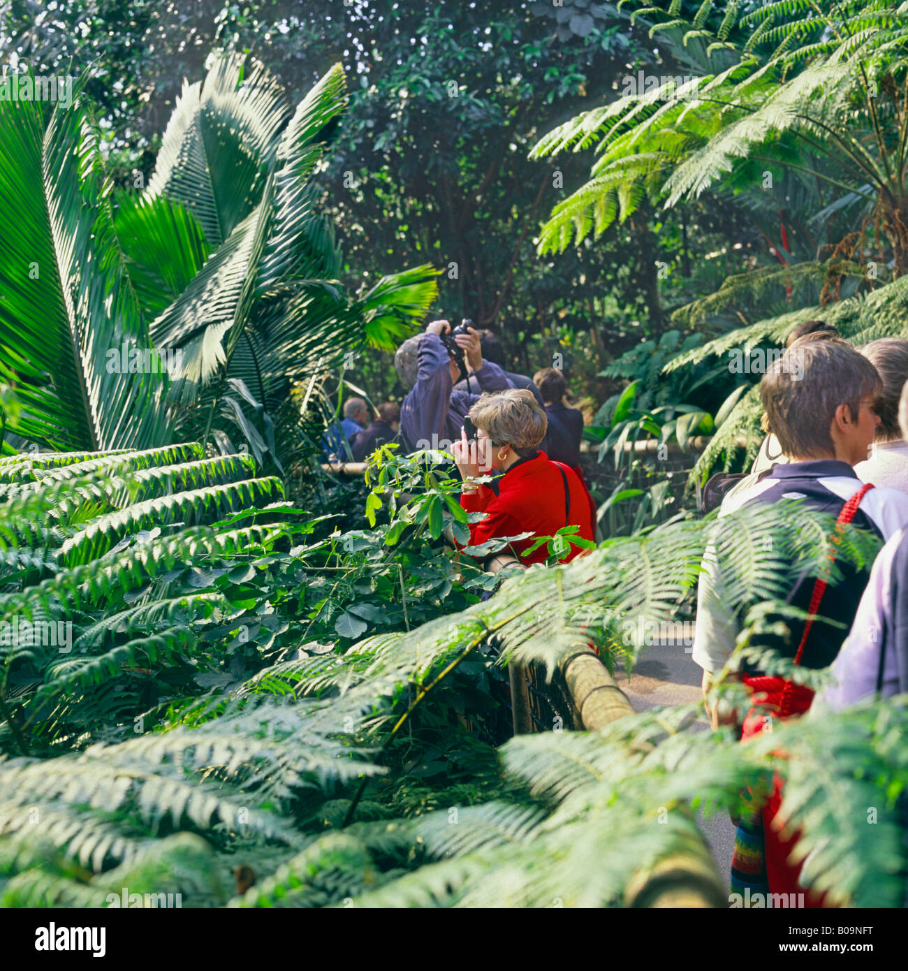 People taking photographs on pathway inside Humid Tropics Biome dome of ...