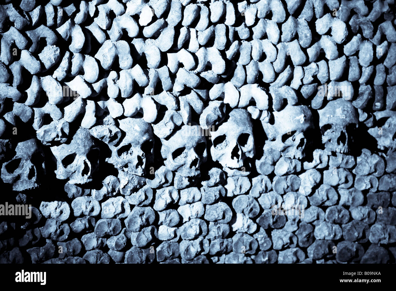 Human skulls and bones stacked in rows in the underground Catacombs ...