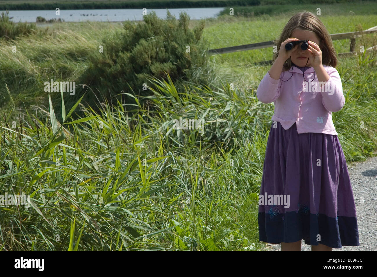 Girl bird watching hi-res stock photography and images - Alamy