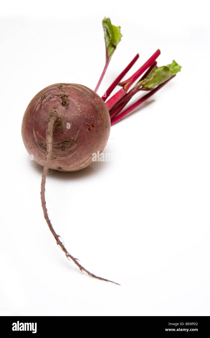 Beetroot isolated on a white studio background Stock Photo - Alamy