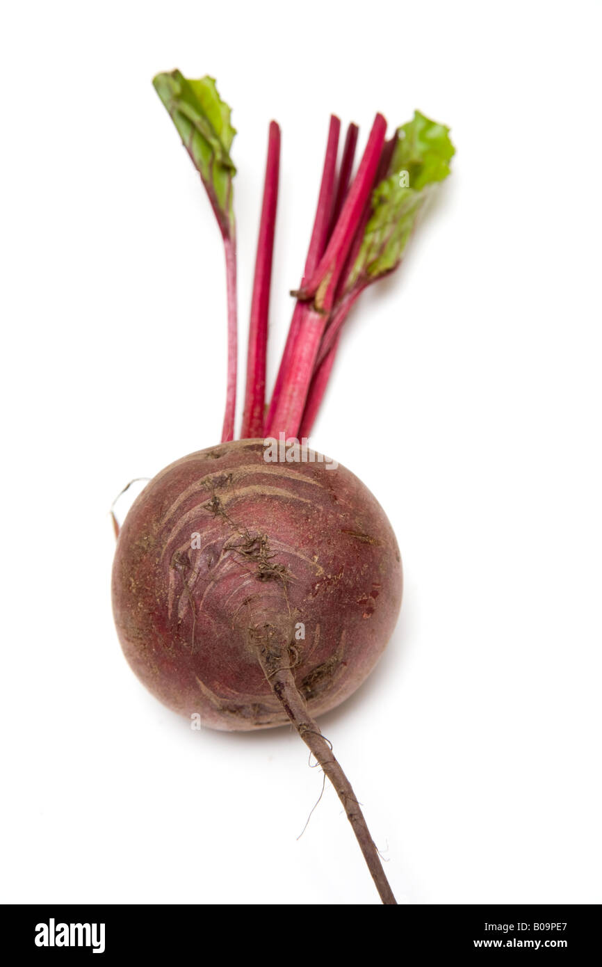Beetroot isolated on a white studio background Stock Photo - Alamy