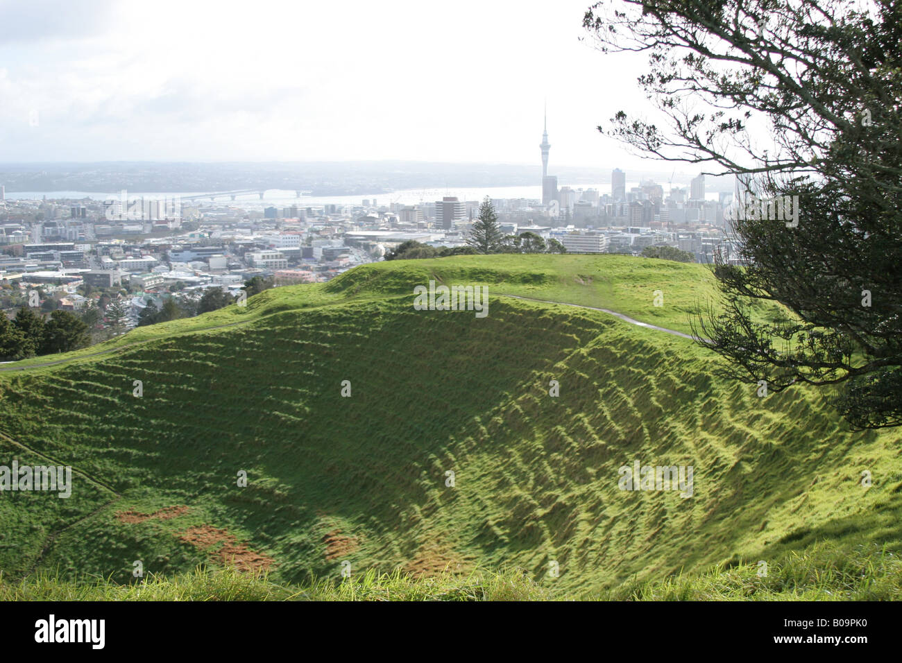 Extinct volcano auckland New Zealand Stock Photo - Alamy