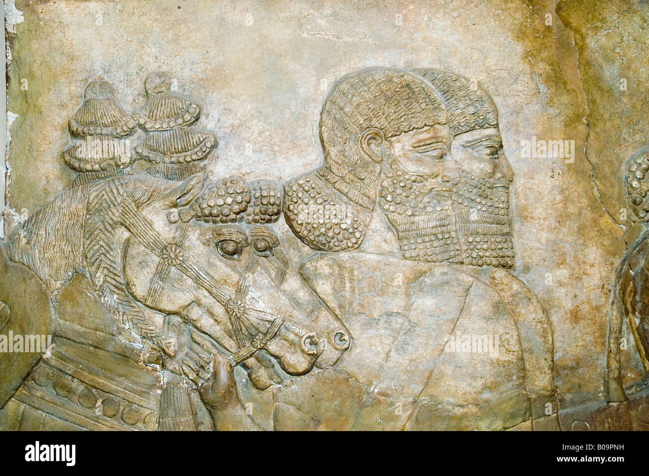 An ancient wall carving in the British Museum London Stock Photo - Alamy