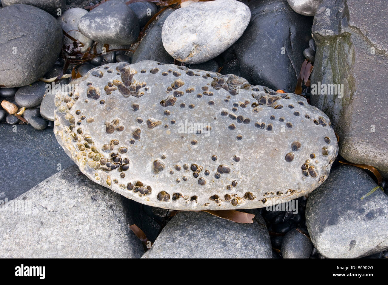 Texture shoreline hi-res stock photography and images - Alamy