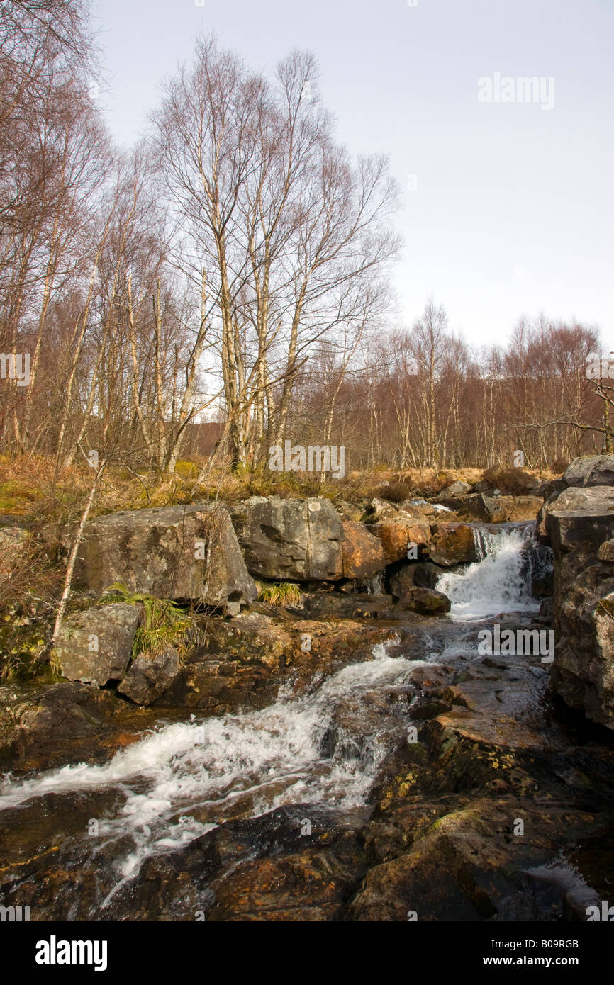 scottish highland mountain stream in winter Stock Photo - Alamy