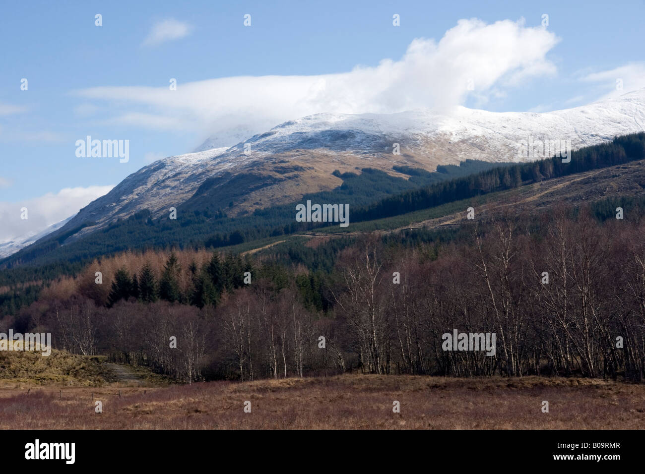 Crianlarich ben more hi-res stock photography and images - Alamy
