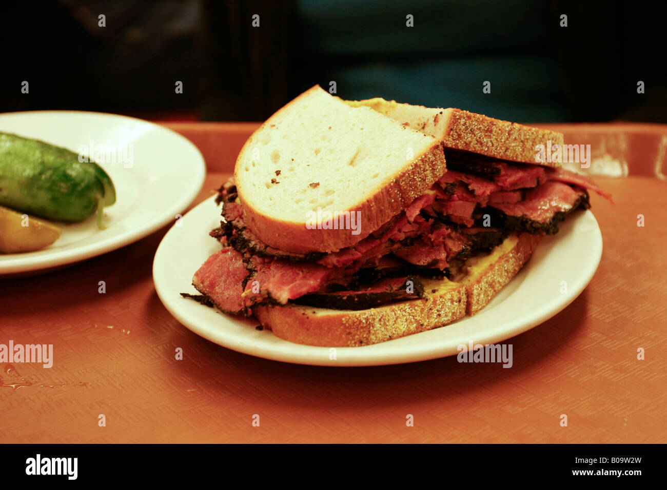 Salt beef sandwich at Katz's diner New York City United States of ...