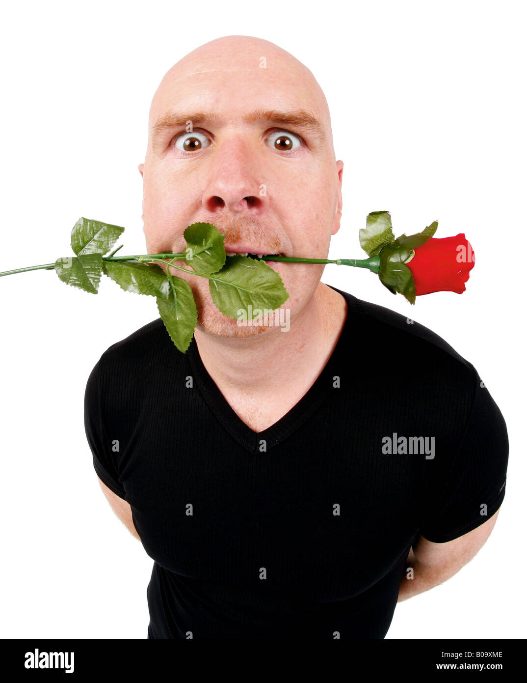 Man biting red rose hi-res stock photography and images - Alamy