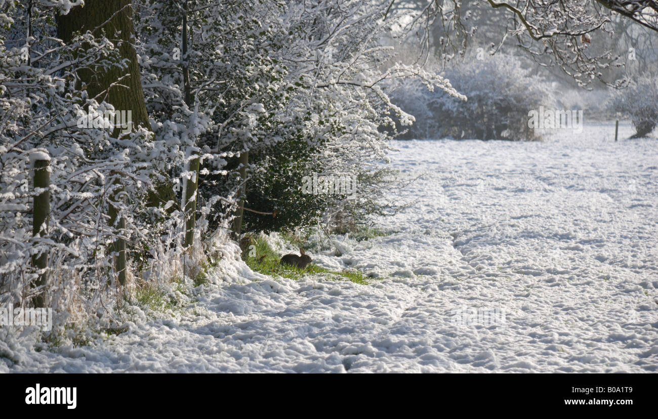 Photograph of wintery scene hi-res stock photography and images - Alamy