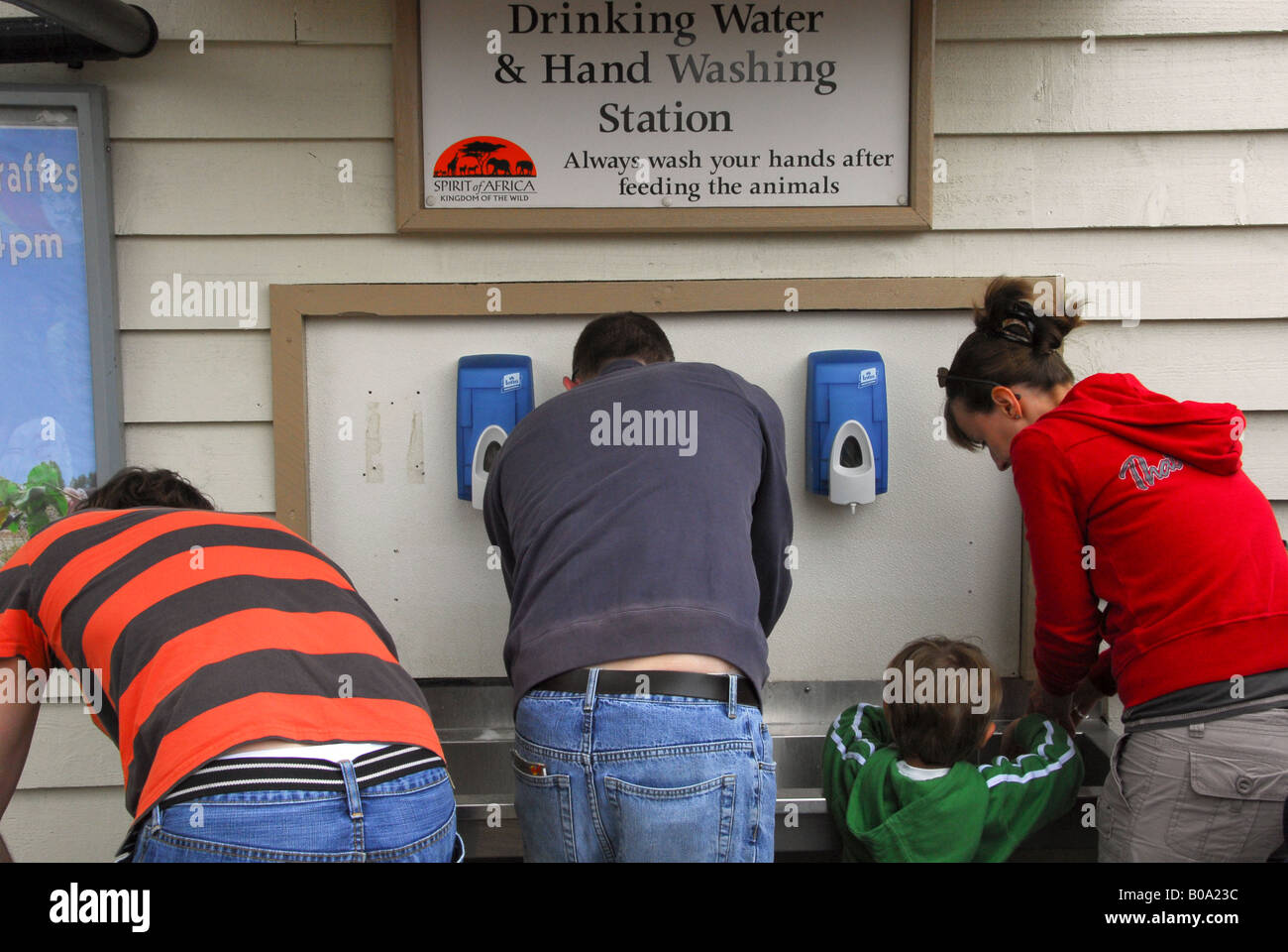 Washing hands animals hi-res stock photography and images - Alamy