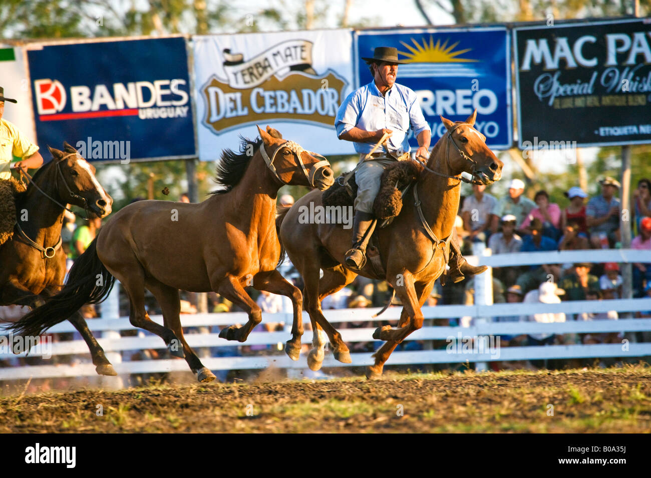 cowboy cow-boy rodeo Argentina Argentine gaucho Stock Photo - Alamy