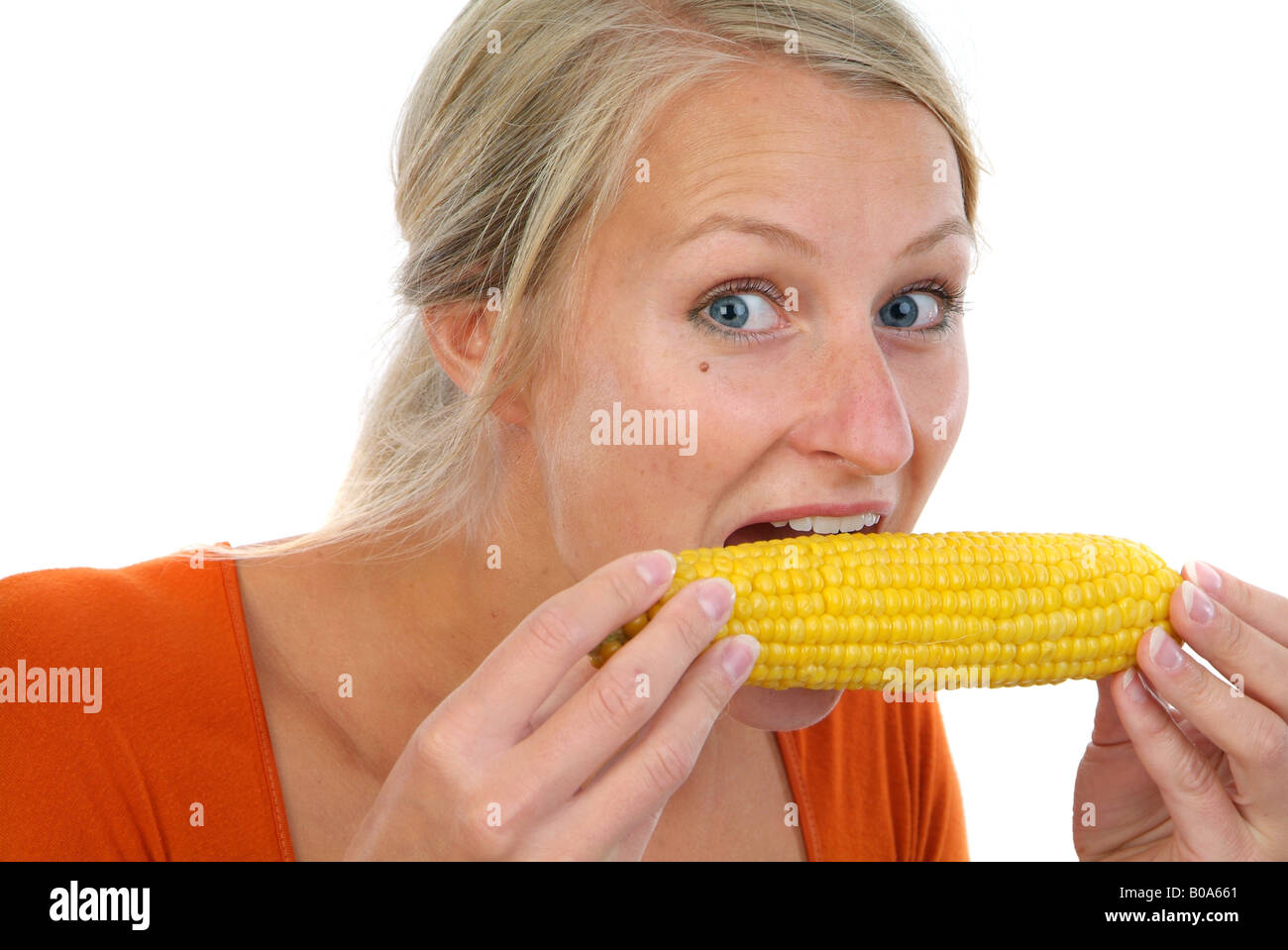 young blond woman eating a cooked maize cob Stock Photo - Alamy