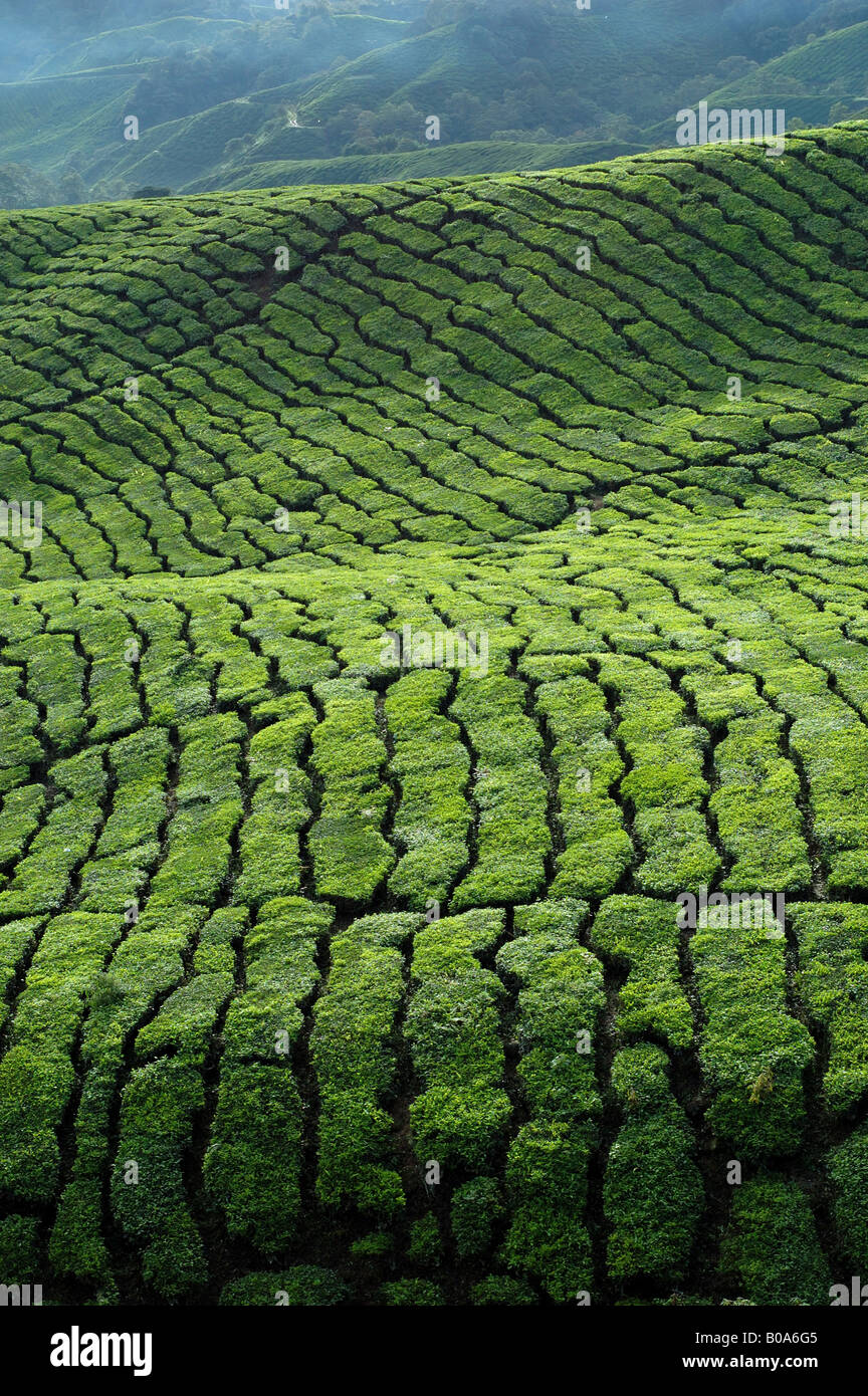 Contour and Texture Stock Photo - Alamy