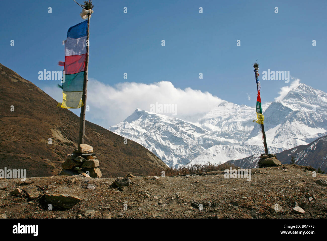 praying flags and poles in annapurna nepal Stock Photo - Alamy