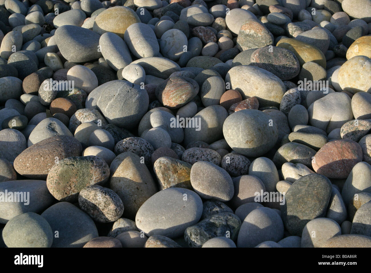 Pebbles on a beach Stock Photo - Alamy
