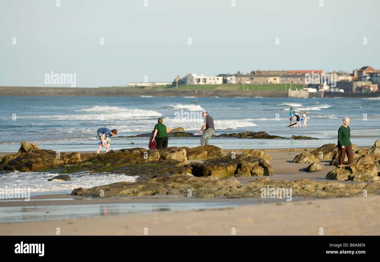 Seahouses northumberland family hi-res stock photography and images - Alamy