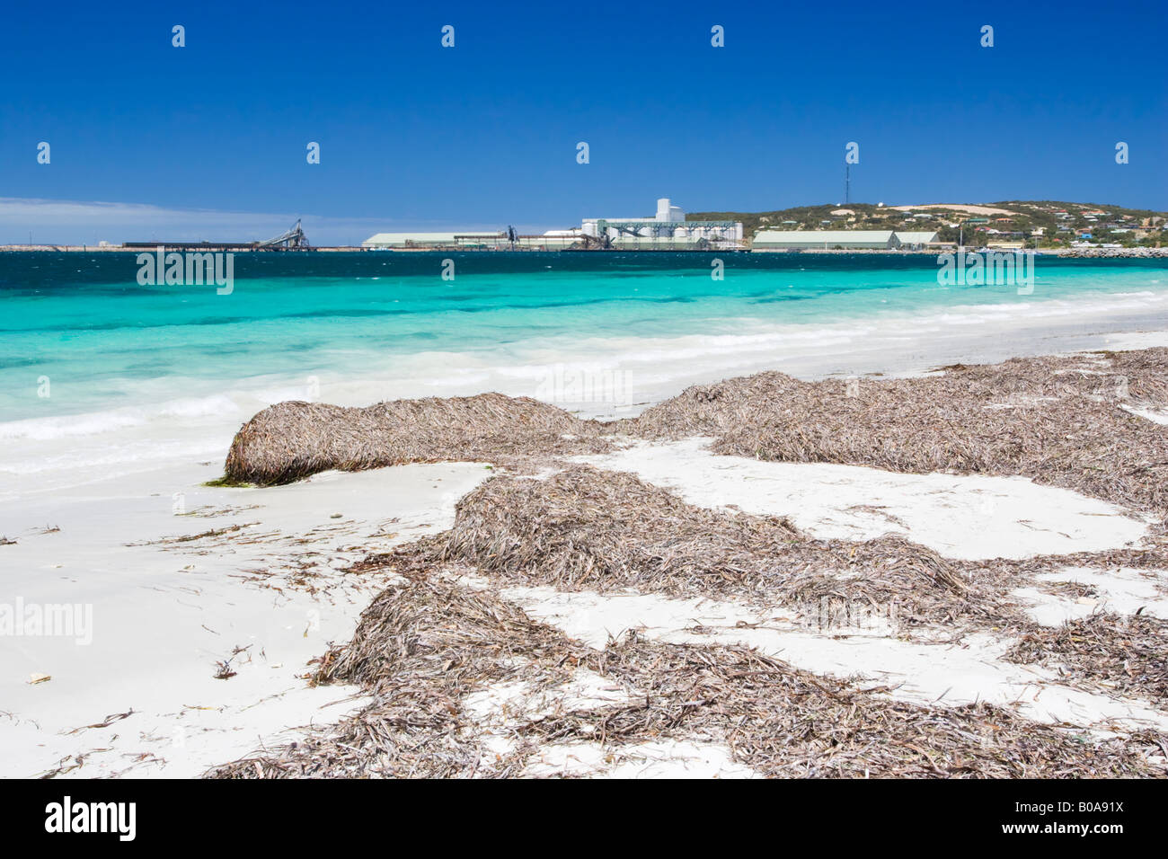Esperance Port and beach in Esperance, Western Australia. Dried seaweed ...