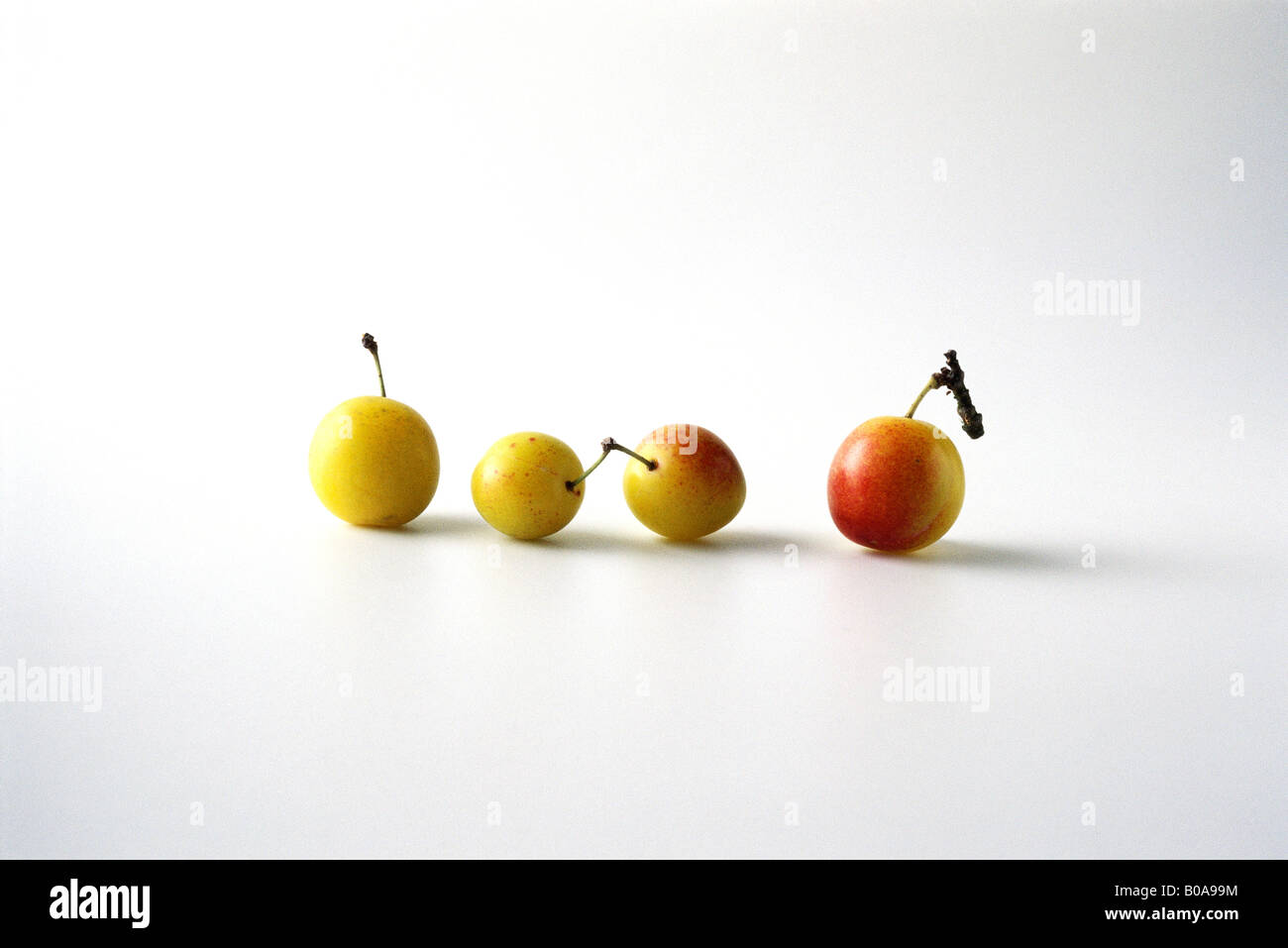 Four plums hi-res stock photography and images - Alamy